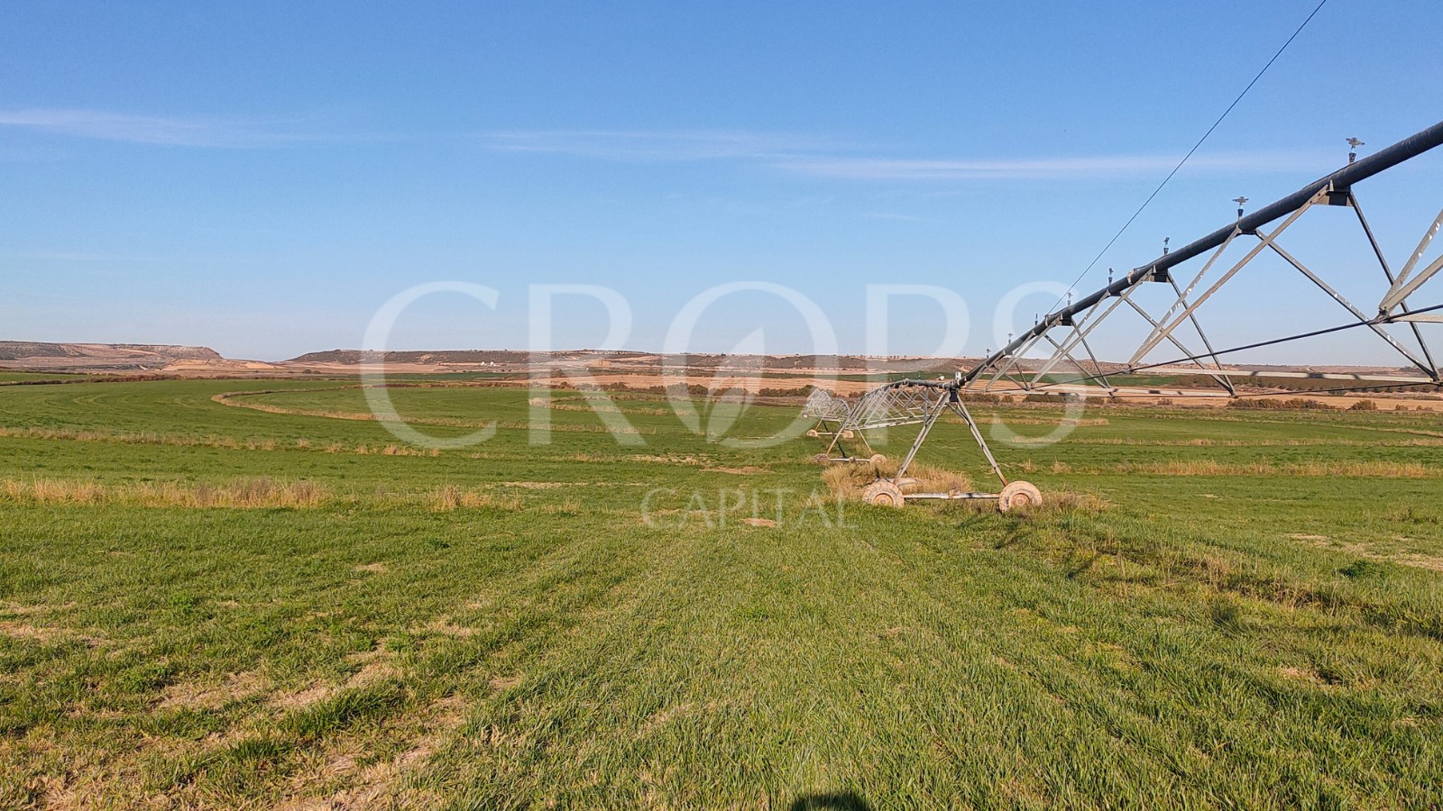 Fincas Agrícolas de Regadío en España: Comercialización, Desafíos y ...